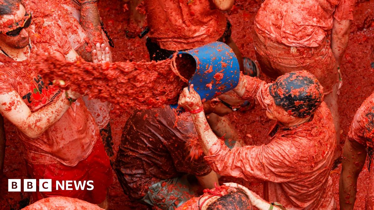 Watch as crowds hurl tomatoes at each other for 80th La Tomatina food ...