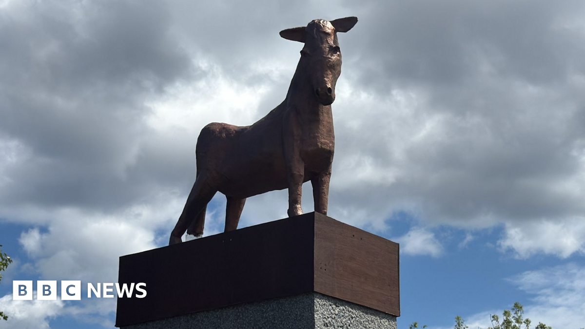 Ryhope's stolen pony statue replaced by mystery artist - BBC News