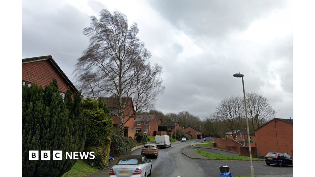 Teenager seriously hurt in woodland fire in Sedgley - BBC News