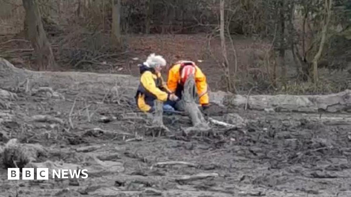 Lincoln woman 'screamed for help' as she sank in mud - BBC News