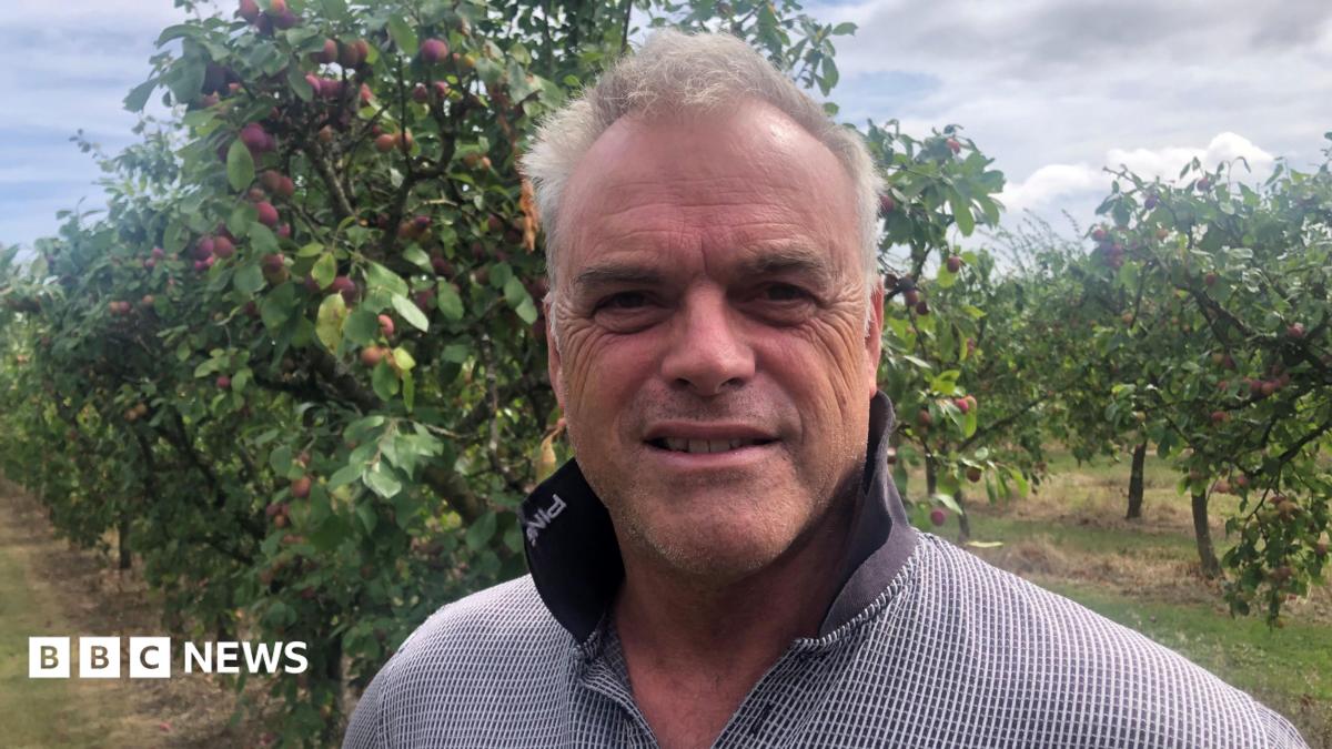 Peterborough farm stops pick-your-own business after 52 years - BBC News
