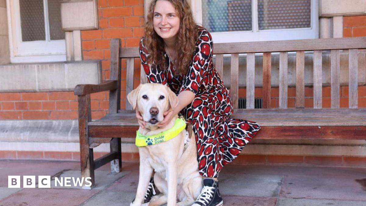 Guide dogs: Government plans to stop businesses refusing access - BBC News