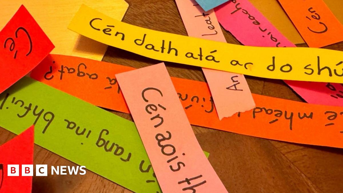 Irish language action needed by European Parliament - Kelly - BBC News