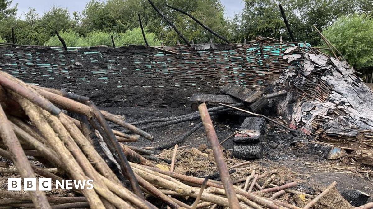 Peterborough appeal for Flag Fen replica roundhouse - BBC News