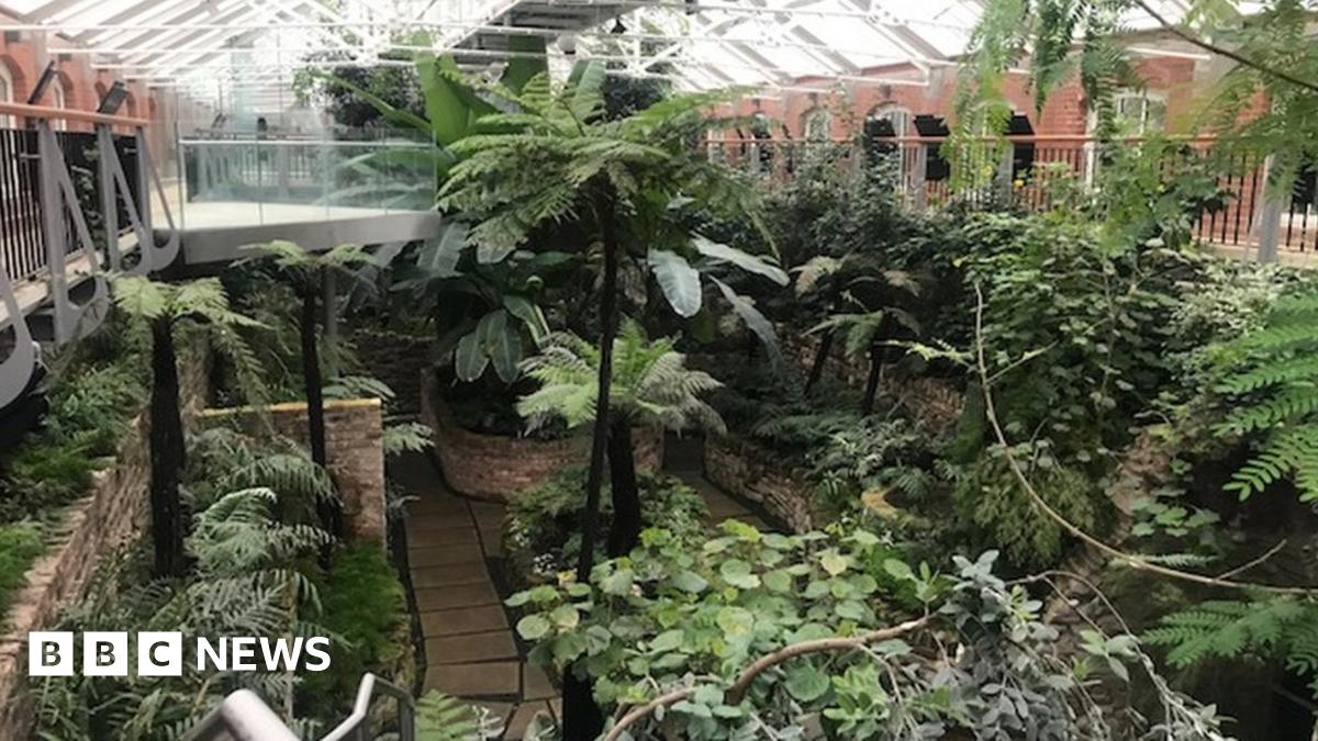 Belfast Botanic Gardens: Tropical paradise in the city - BBC News