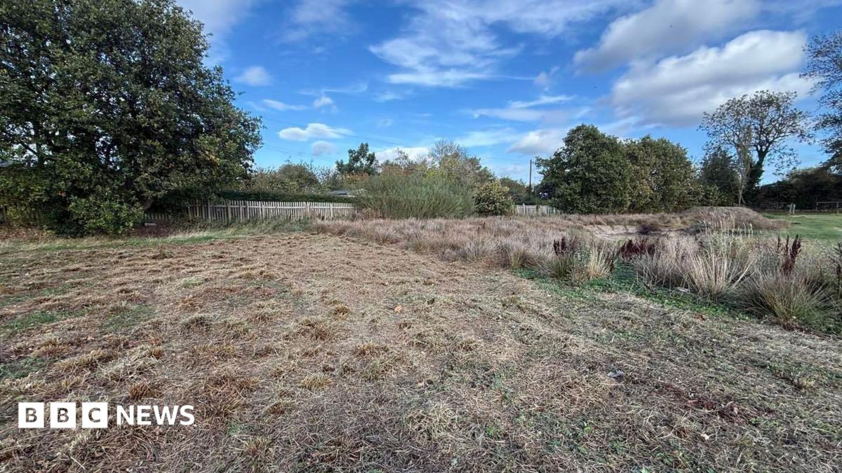 Prudhoe park group 'devastated' as tractor flattens wetland - BBC News