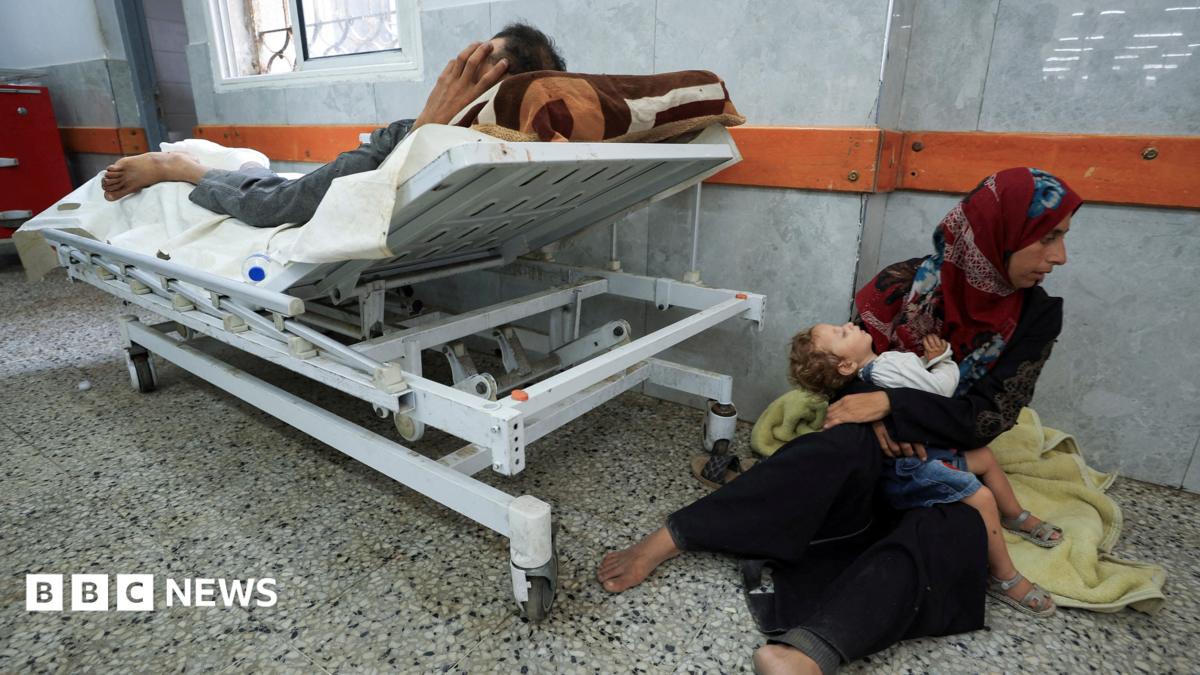 Gaza: Dozens killed while seeking aid in Gaza, hospitals say - BBC News