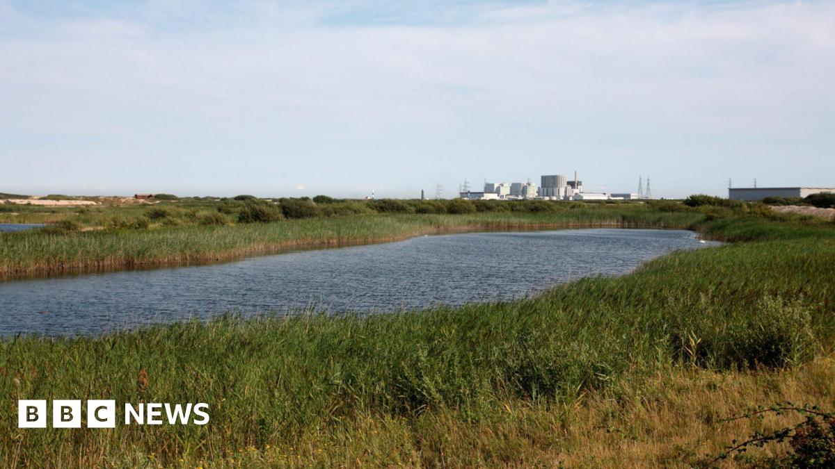 Kent: RSPB to shut 'loss-making' nature reserve shop - BBC News