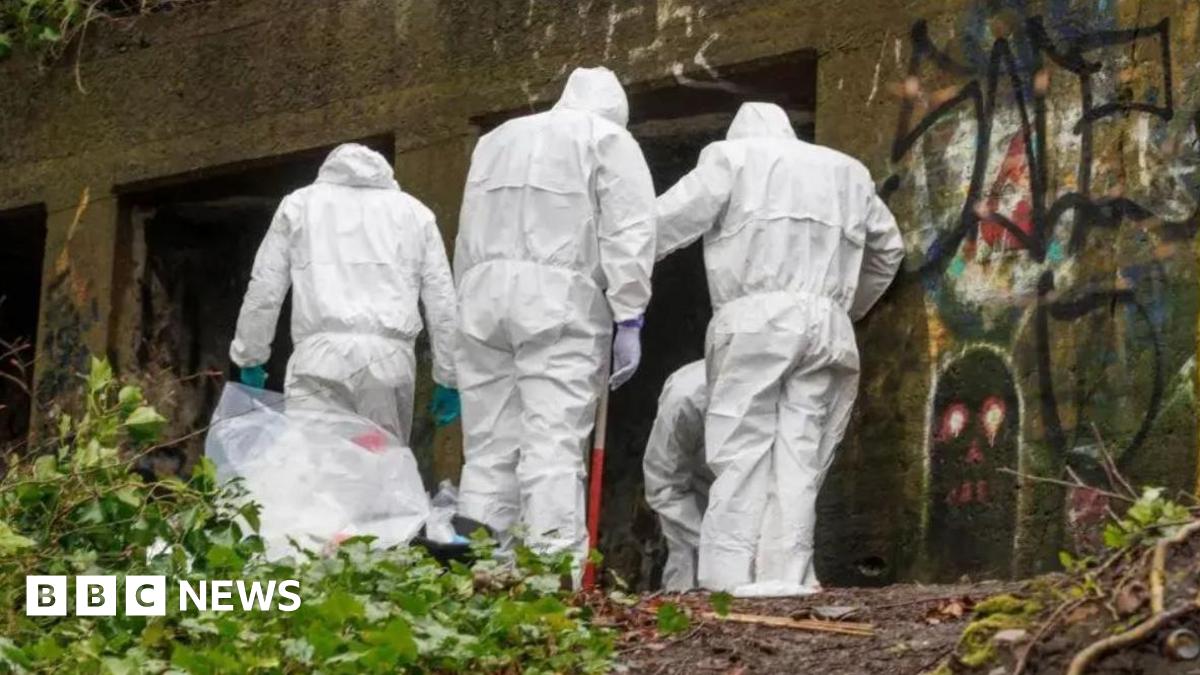 Stuart Everett trial: 'It's a mistake,' body parts murder suspect told ...