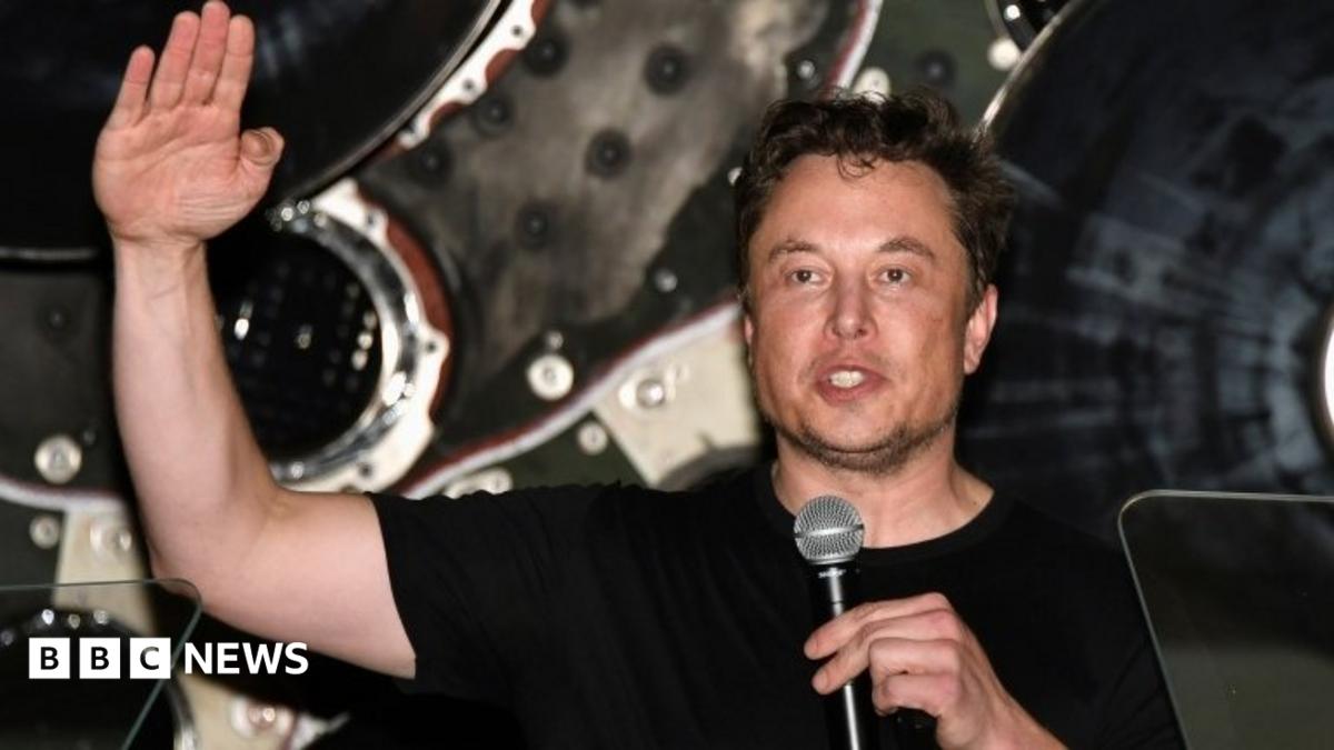Regulators accuse Tesla's Elon Musk of securities fraud - BBC News