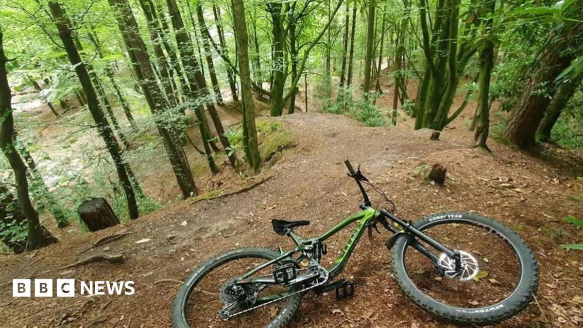 Puddletown Forest bike trails dismantled amid safety fears - BBC News