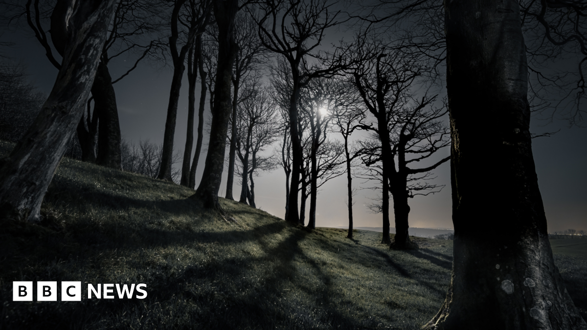 Trees at night photo wins South Downs National Park competition - BBC News