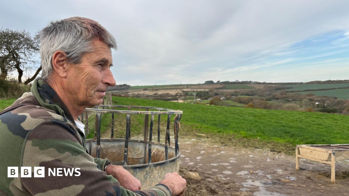 Farmers fear loss of land if Carland Cross solar farm approved - BBC News