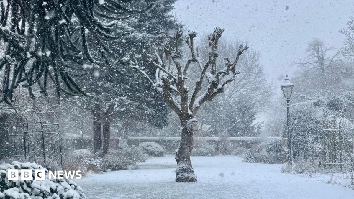 More snow and ice weather warnings issued for Norfolk and Suffolk - BBC ...