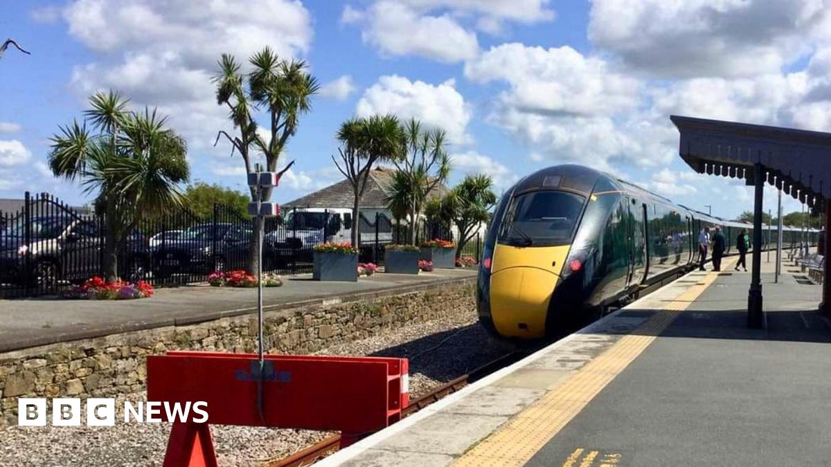 Newquay train station palm trees find new home at attraction - BBC News