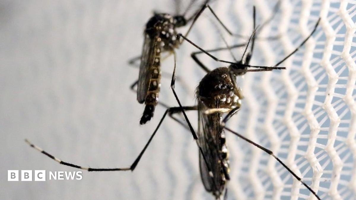 Zika virus: Florida cases 'likely' to be first US-based infections ...