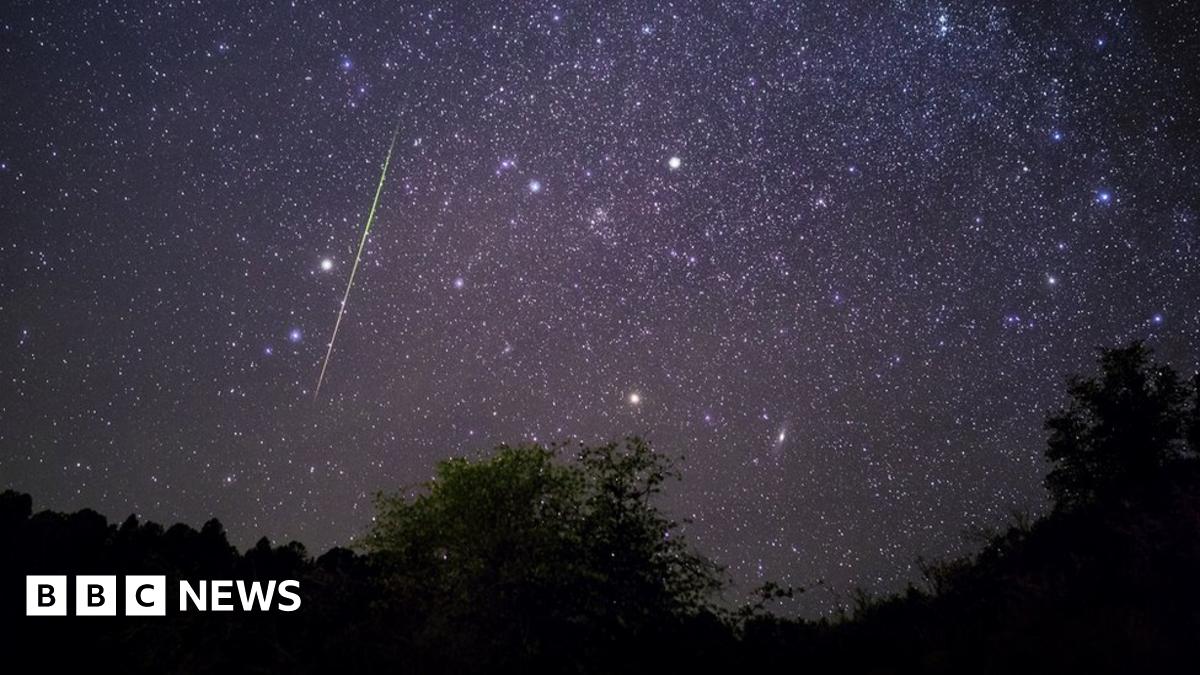 Leonid meteor shower: When, where and how to catch a glimpse of the ...