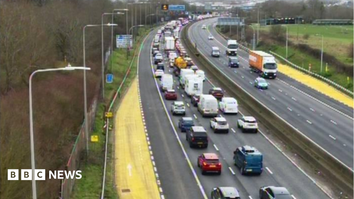Deer on M5 put down due to 'unsurvivable injuries' - BBC News
