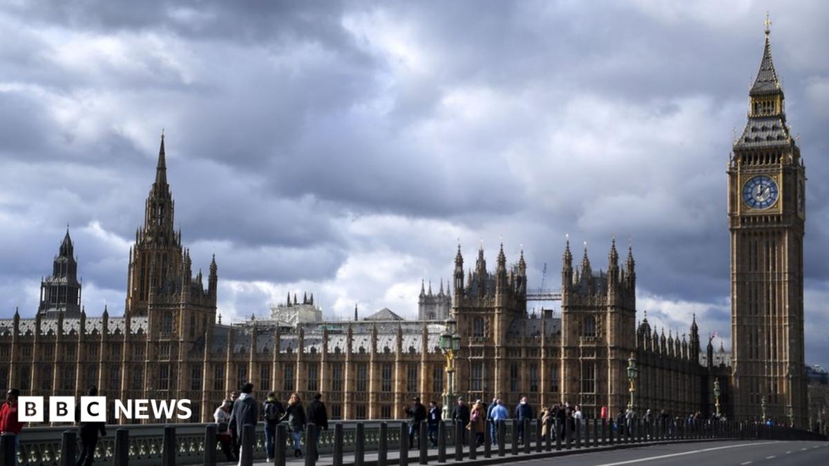 What's happening in Parliament next week? - BBC News