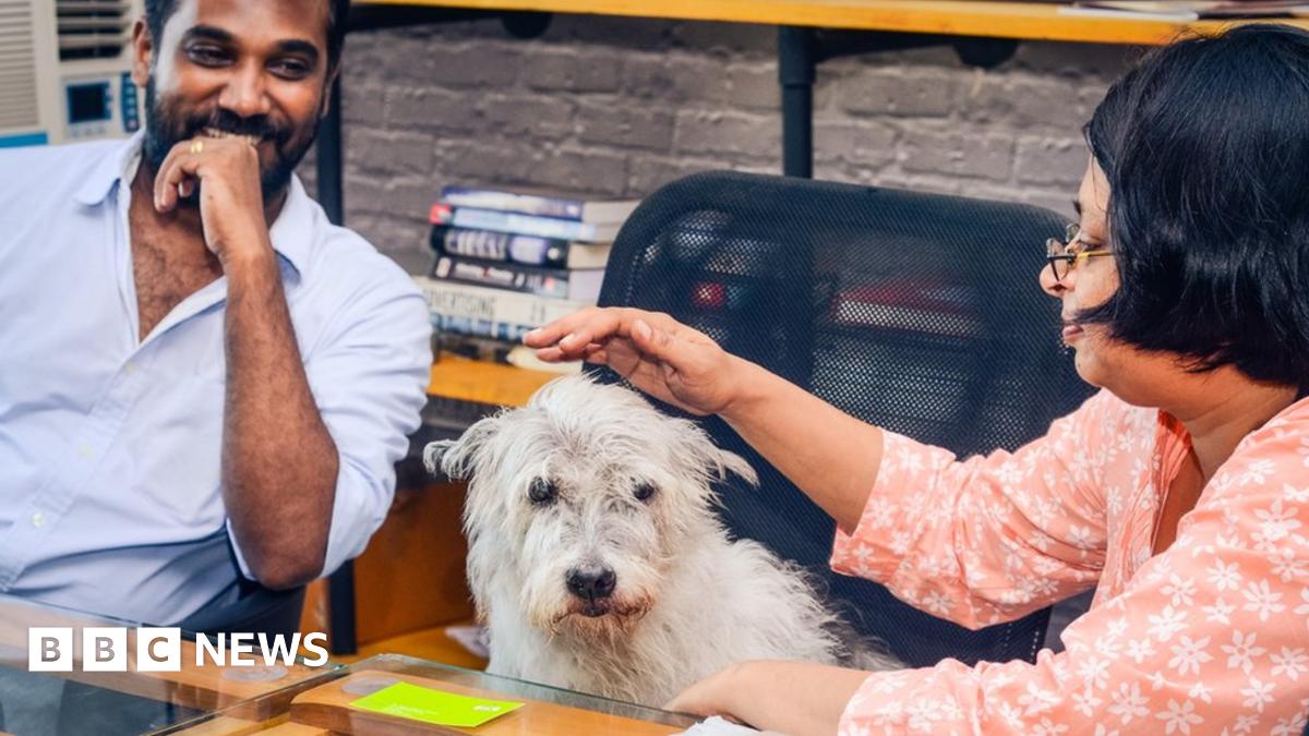 Meet one Indian ad firm's 'top dog' - BBC News