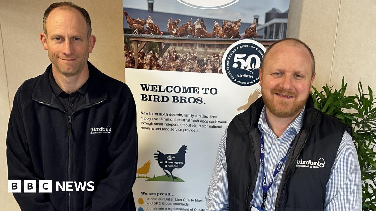 Bedfordshire egg supplier makes improvements after neglect claims - BBC ...