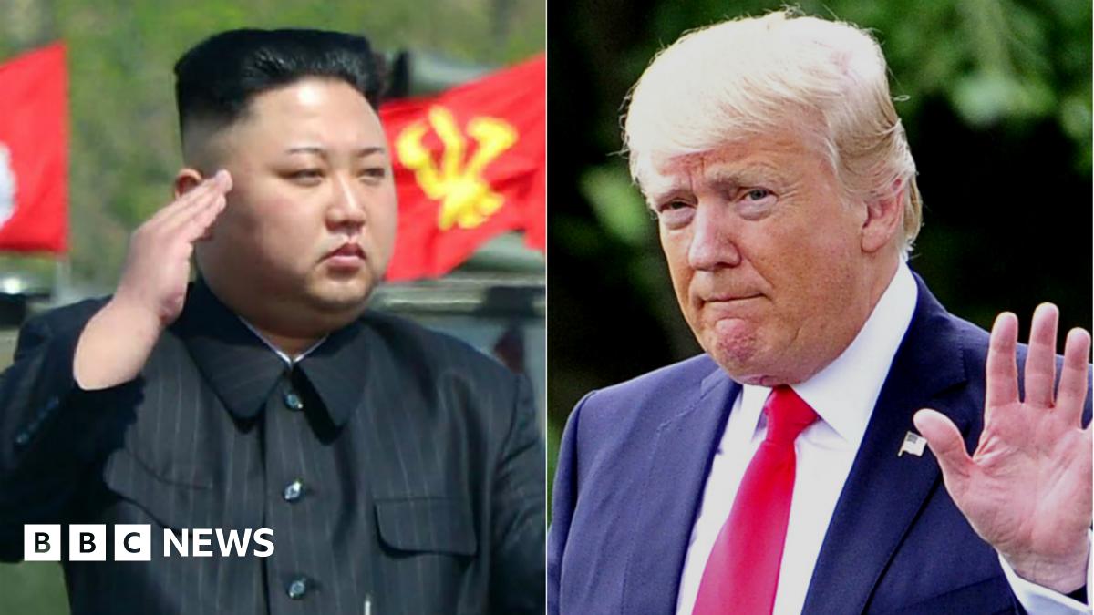 Donald Trump: I would be honoured to meet Kim Jong-un - BBC News
