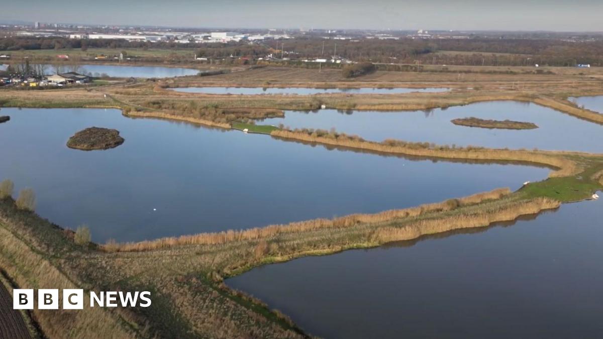 New nature reserve in Doncaster becomes wildlife haven - BBC News