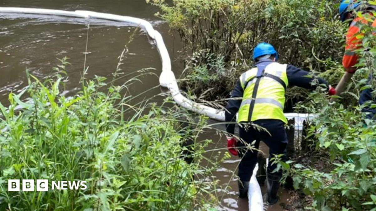 Lower Test nature reserve oil pollution response 'inadequate' - BBC News