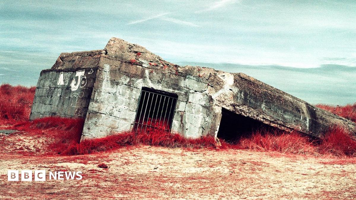D-Day: Infrared photos reveal WW2 bunkers in new light - BBC News