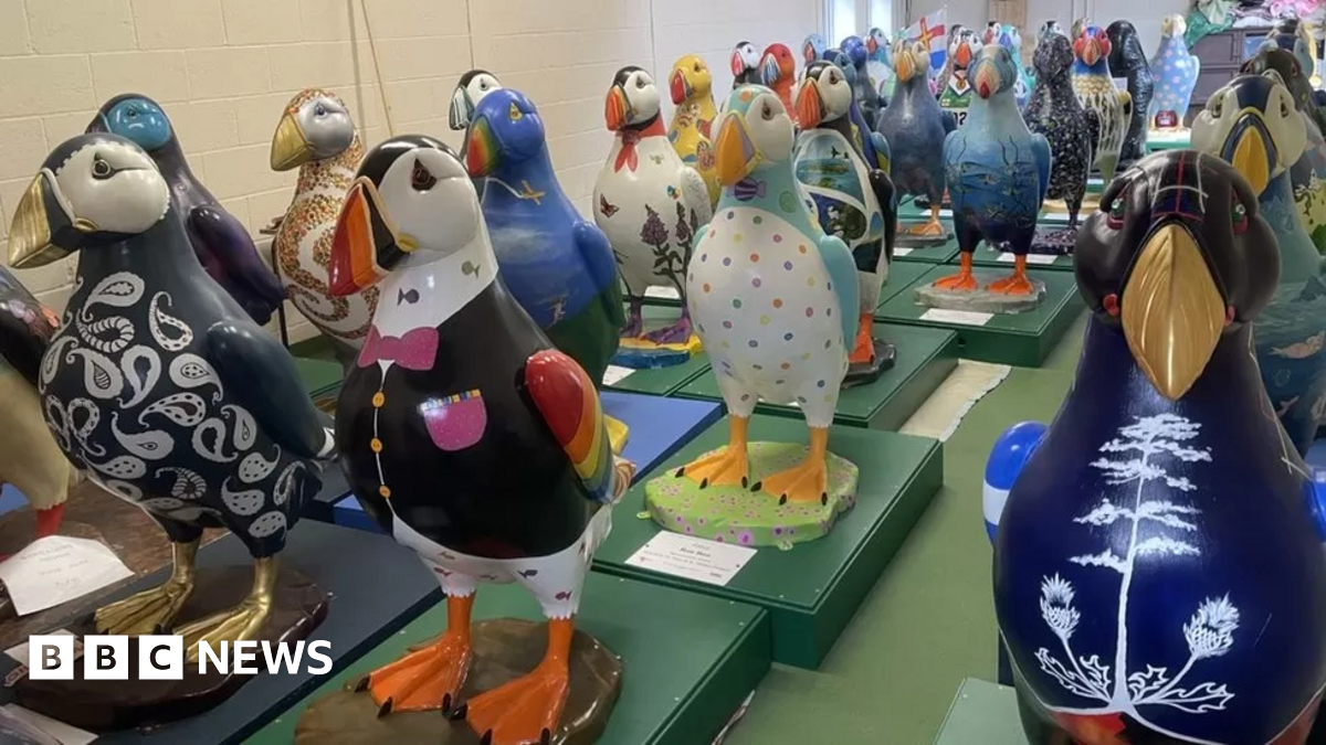 Last chance to see Guernsey's Puffin Parade - BBC News