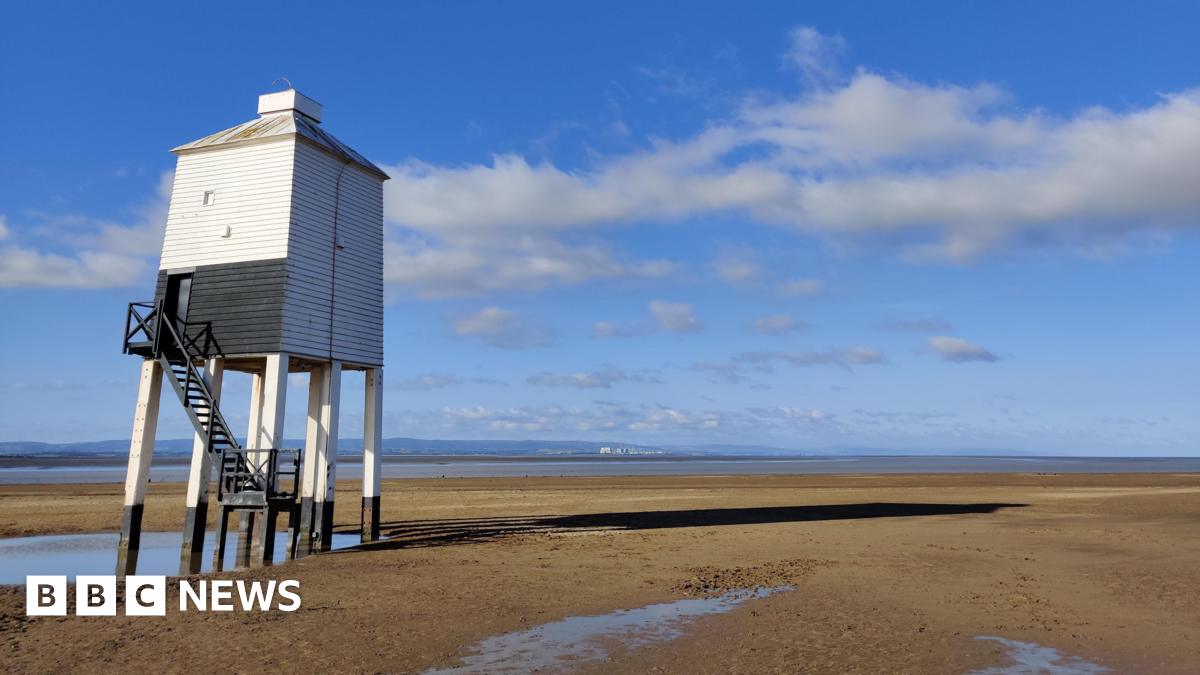 Headlines: 'Stranded dolphin' and 'flytipping in city' - BBC News