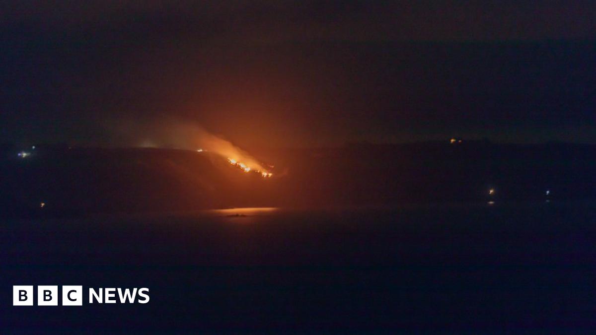 Sark fire caused by disposable barbecue says fire chief - BBC News