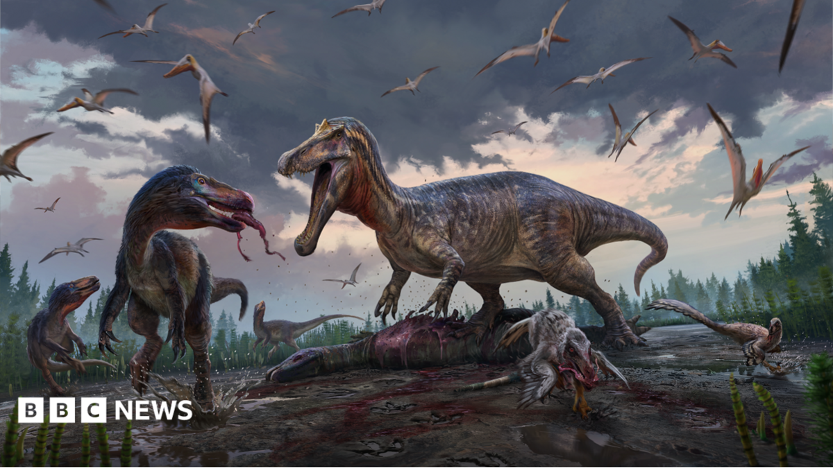 East Sussex: Dinosaur teeth discovered in Bexhill - BBC News