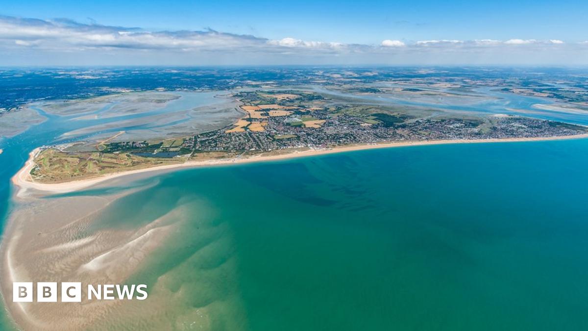 Solent Seascape Project launched to restore marine habitats - BBC News