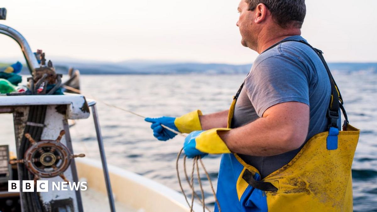 Brexit fishing industry plans outlined by government - BBC News