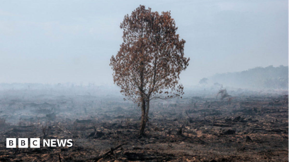 Climate change: 'No more excuses' at COP26 climate summit - poor ...