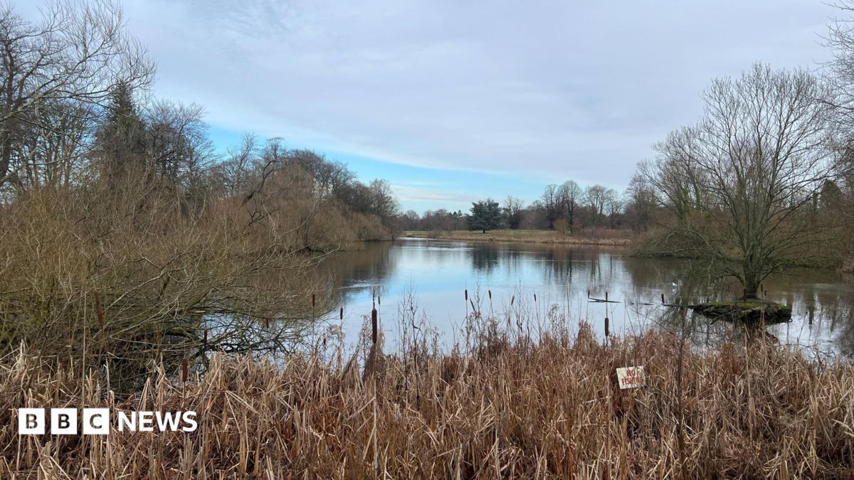 Poynton Pool: Planned removal of trees from beauty spot rejected - BBC News