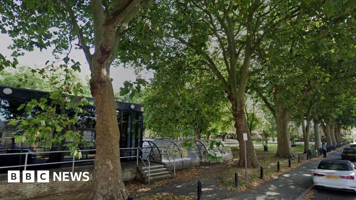 Century-old trees in Cambridge saved for second time - BBC News