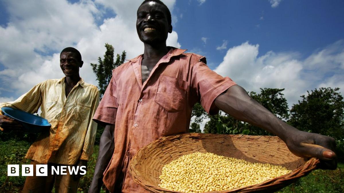 How farmers can end land disputes and produce more food - BBC News