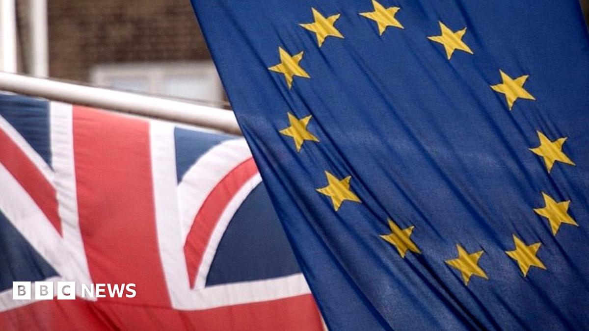 Brexit: UK publishes more EU negotiation plans - BBC News