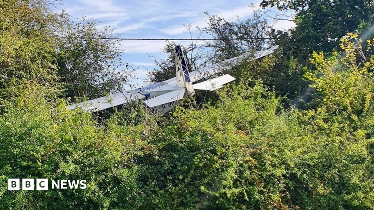 Bedfordshire: Pilot safe after plane crash-lands in tree - BBC News