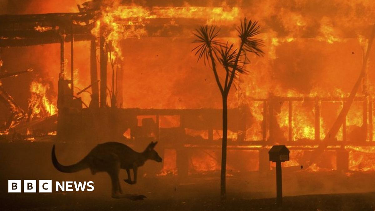 Latest photos of the devastating Australian bushfires - BBC News