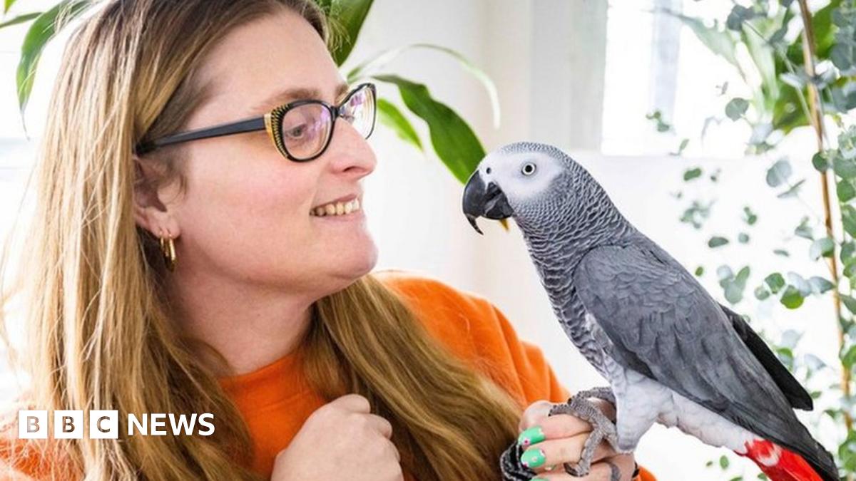 Parrots live life of luxury in Basingstoke after owner wins £2m - BBC News