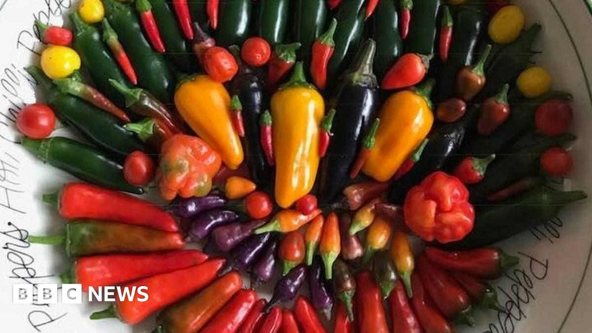The town that became Scotland's chilli capital - BBC News