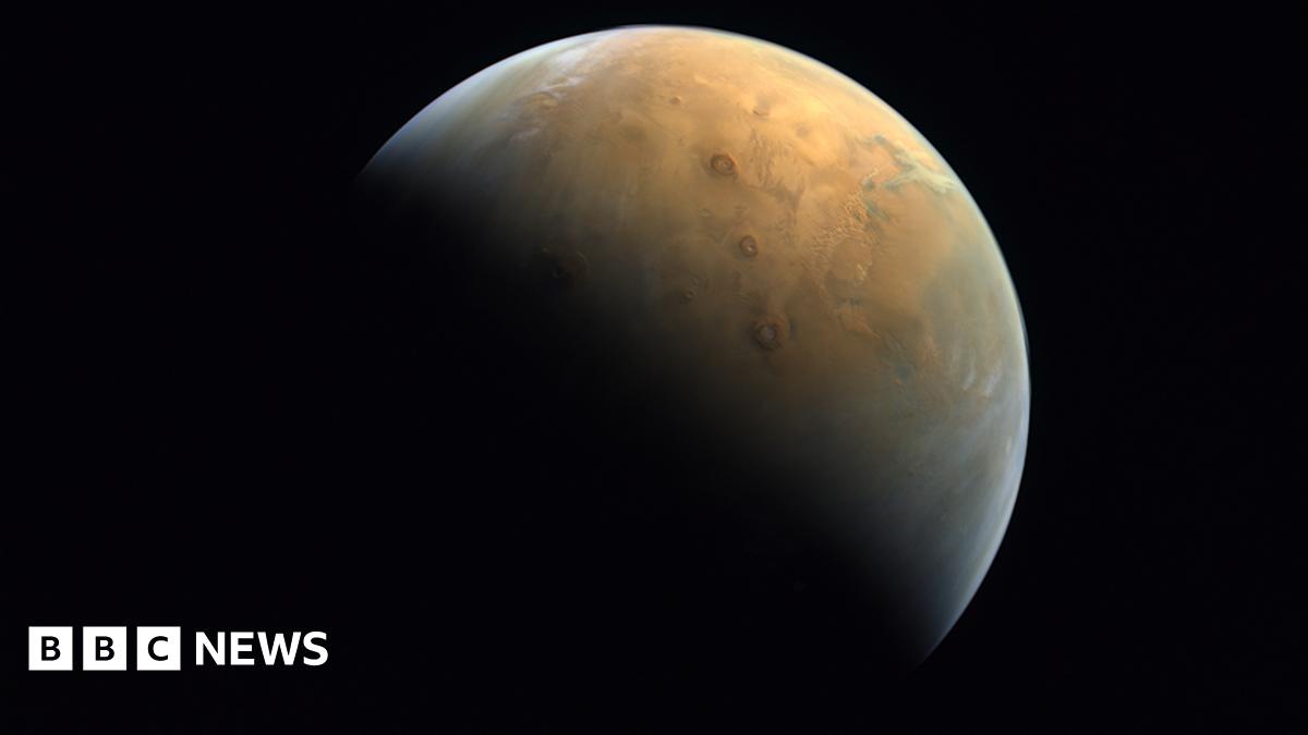 Life on Mars? Australian rocks may hold clues for Nasa rover - BBC News