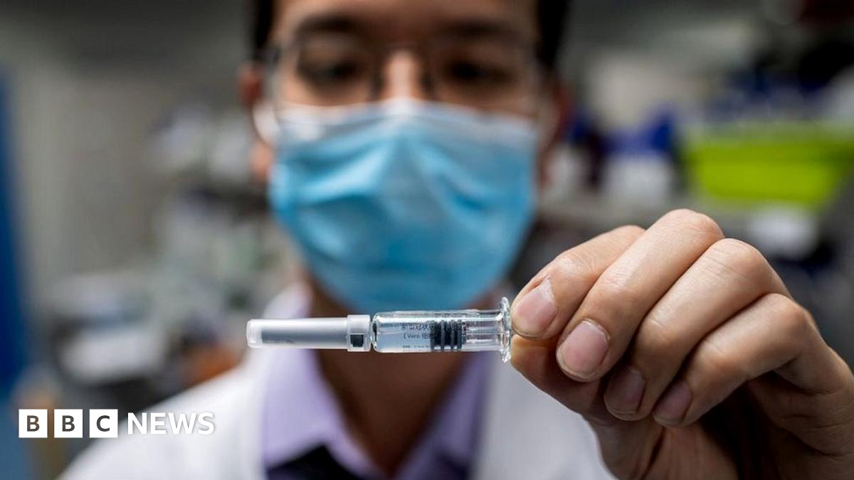 Coronavirus vaccine: Macaque monkey trial offers hope - BBC News