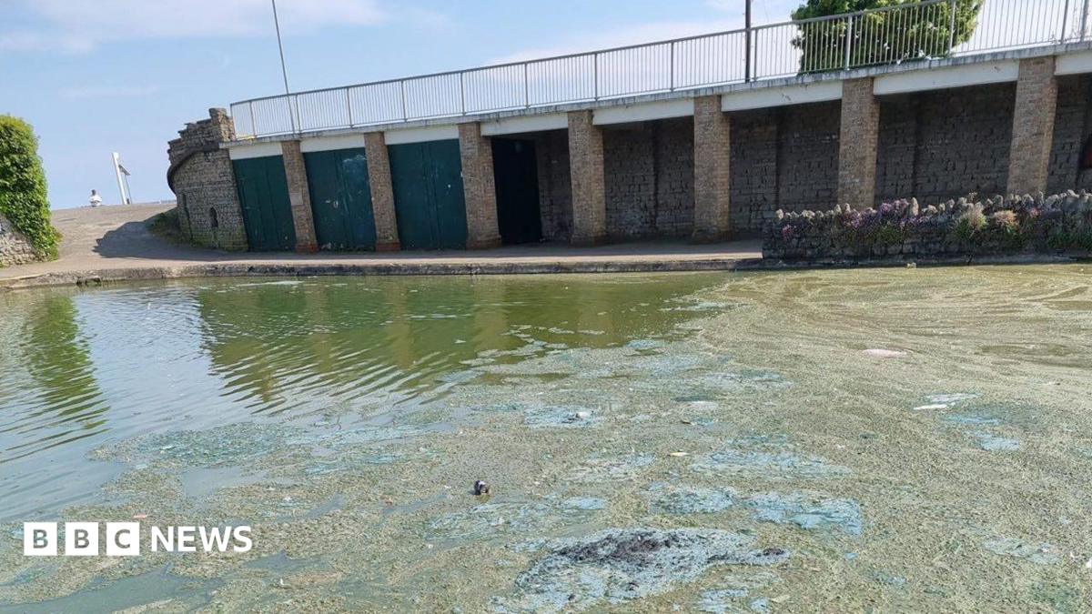 Skegness: council vows to clear 'disgusting' green algae - BBC News
