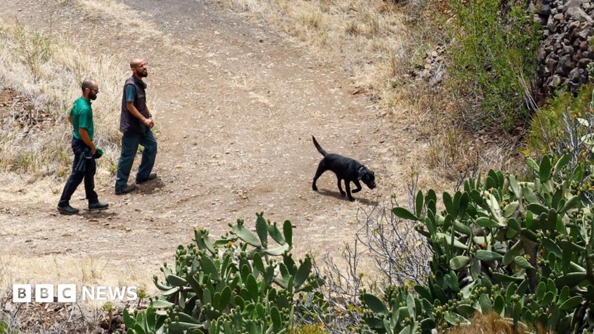 Specially trained dogs arrive to help Jay Slater search - police - BBC News