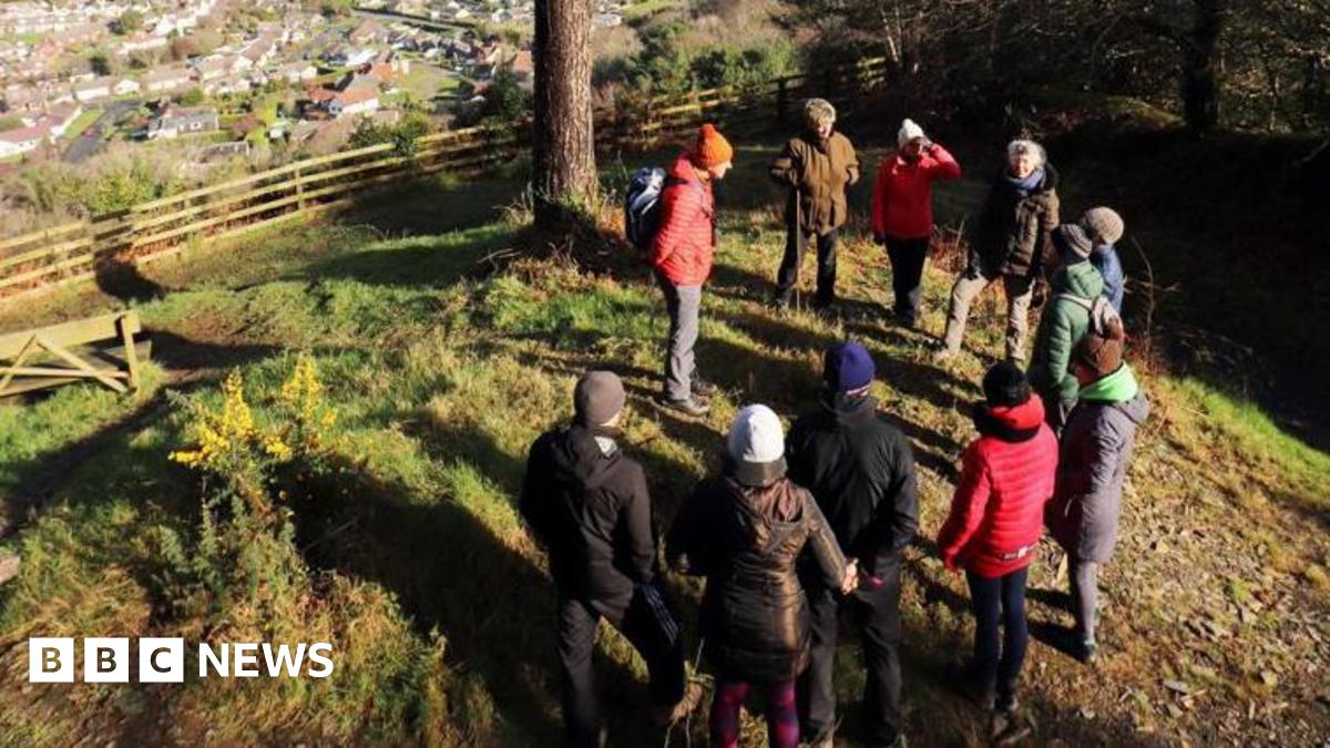 Manx Wildlife Trust search for new woodland rangers begins - BBC News