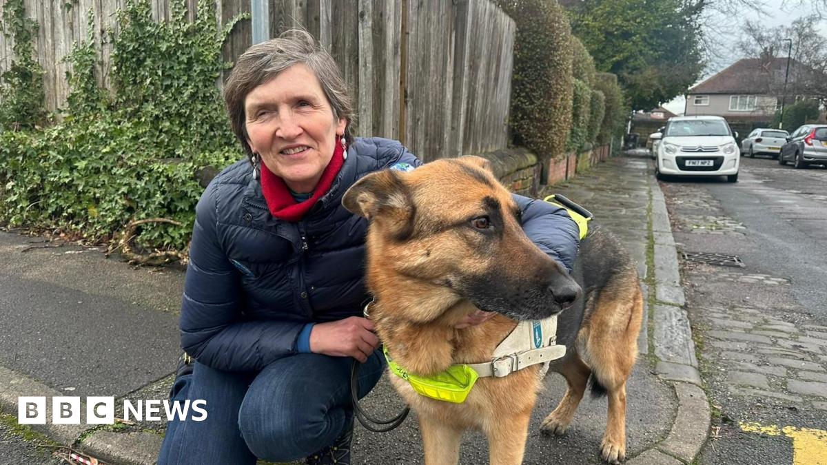 Leeds guide dog user welcomes law against pavement parking - BBC News